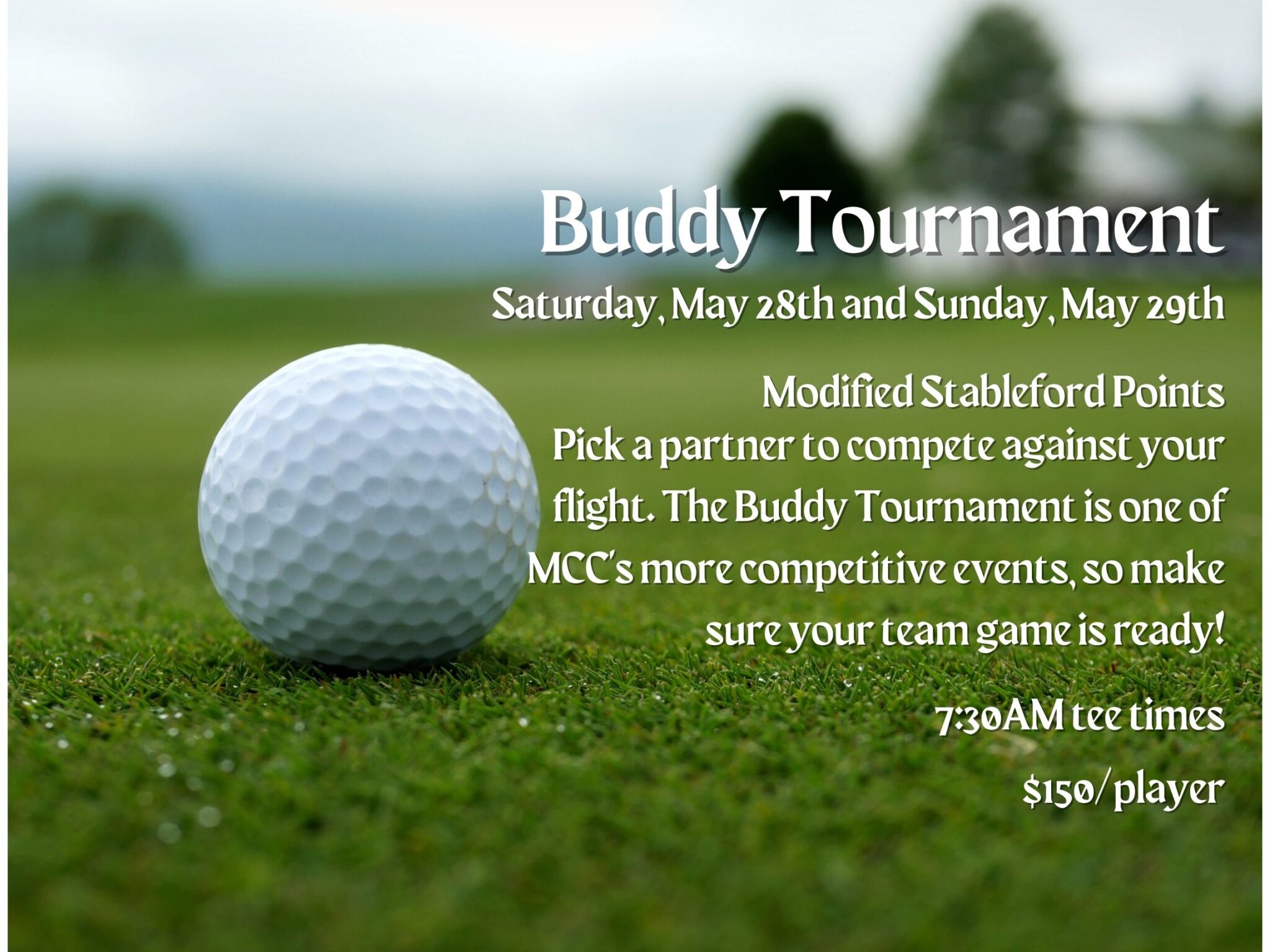 Buddy - Maplecrest Country Club