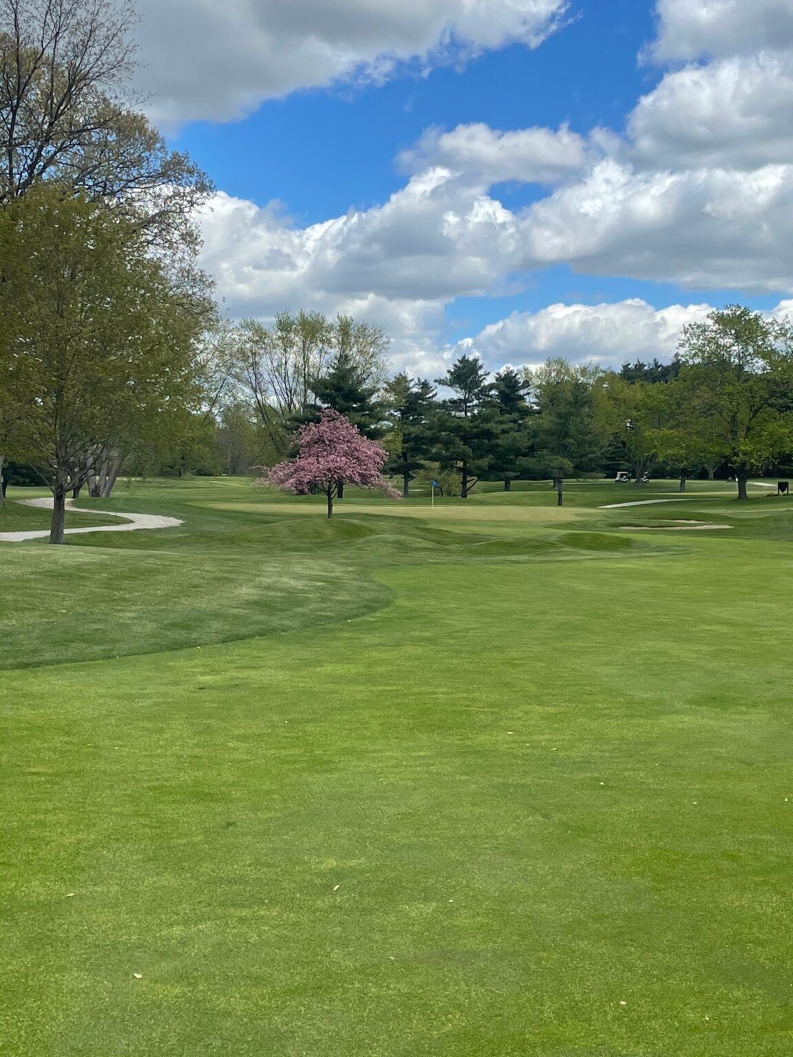 Home - Maplecrest Country Club